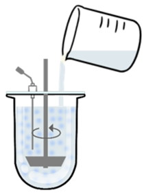 Two-stage biorelevant dissolution test