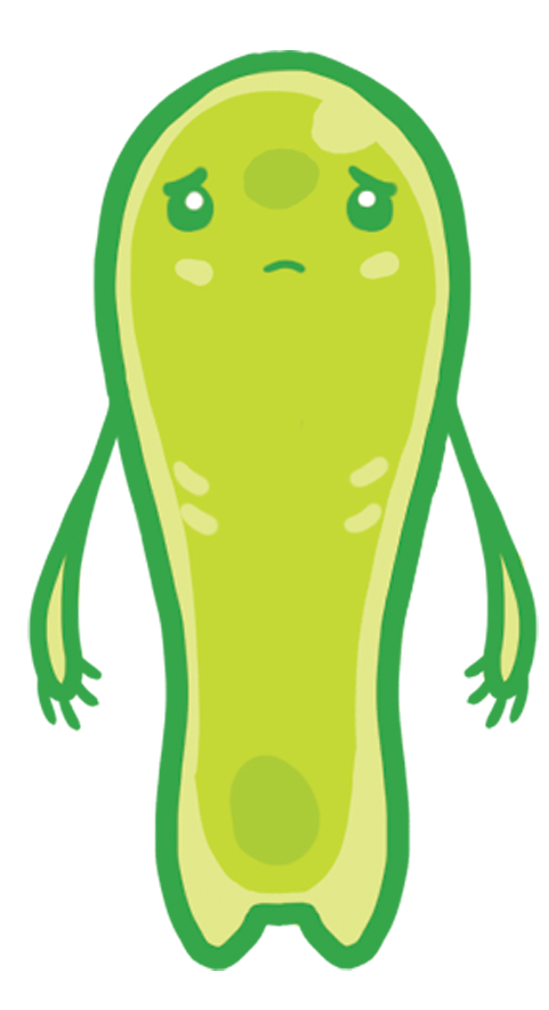 Biorelevant Dissolution Media Made Easy!