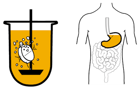 What is FEDGAS (Fed State Simulated Gastric Fluid)?